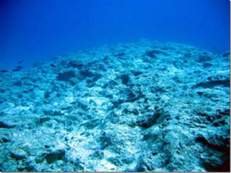 Acidificação dos Oceanos–Principais causas e consequências–Aula de ...